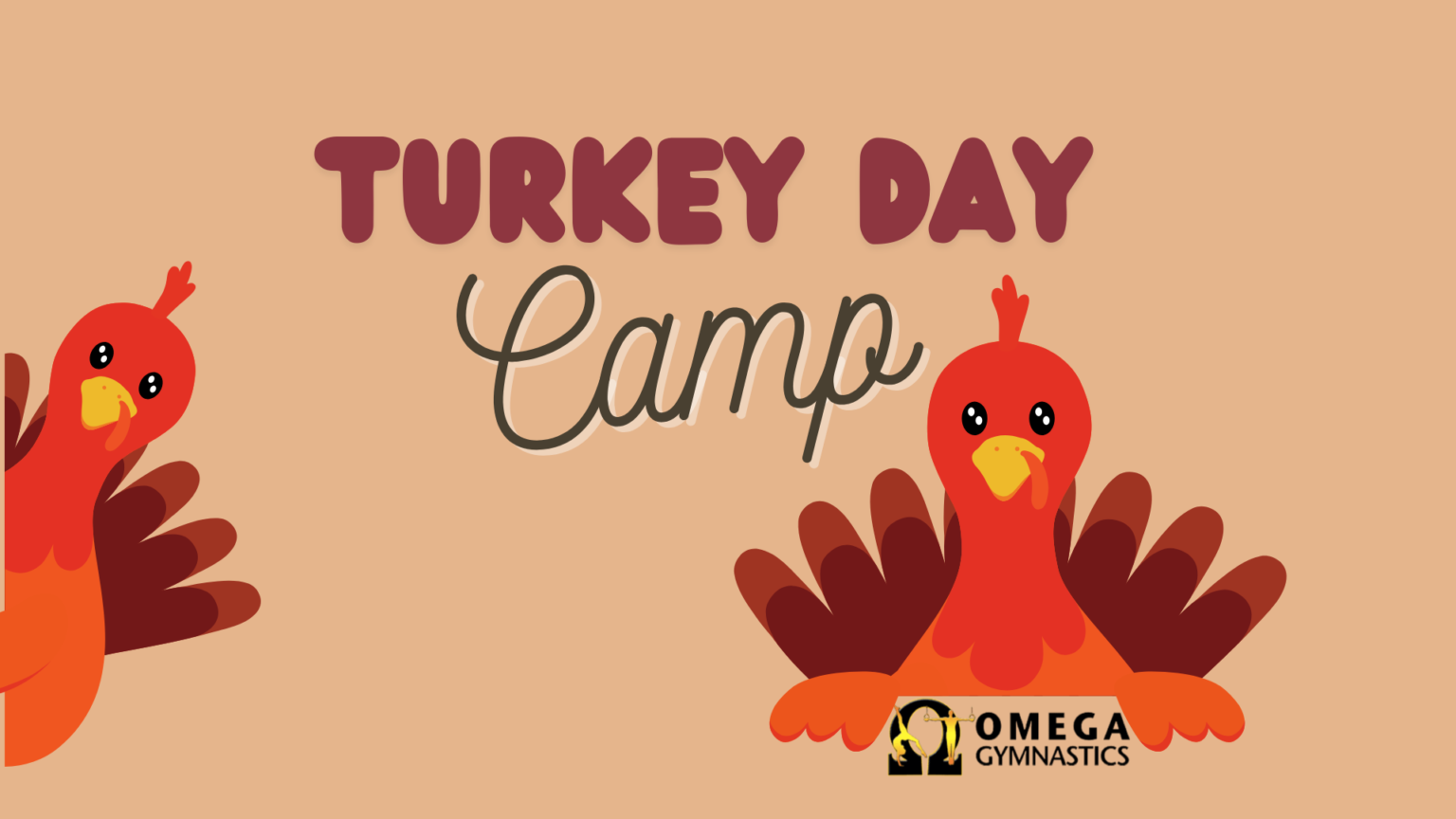 Camps At OMEGA | OMEGA Gymnastics